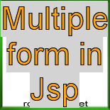 Multiple form in Jsp