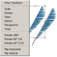 How to design a feather, design a feather, a feather