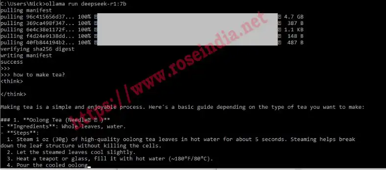 Install and use DeepSeek-R1 Locally
