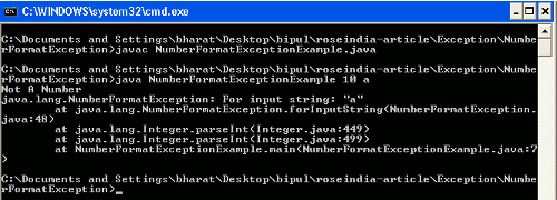  Java NumberFormatException 