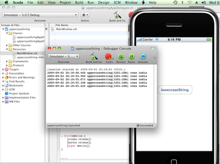 NSString lowercasestring